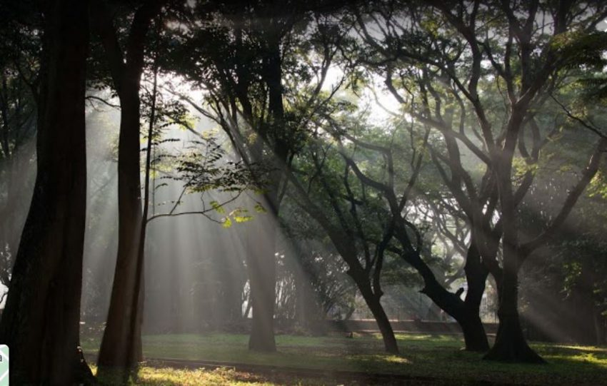 10 Best Places to Visit in Bangalore/Bengaluru City – Holiday Landmark