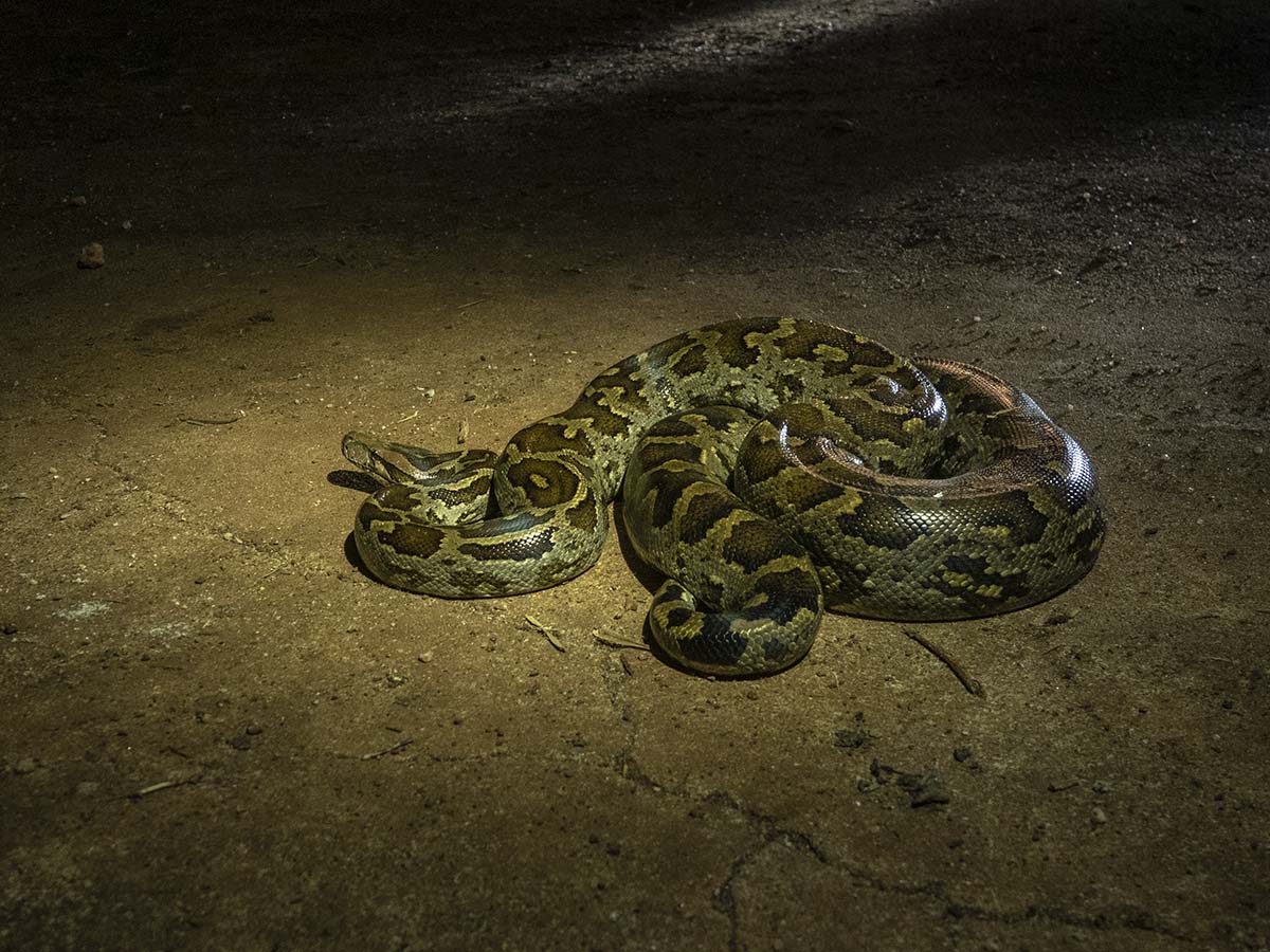 Vallanadu Blackbuck Sanctuary - Holiday Landmark