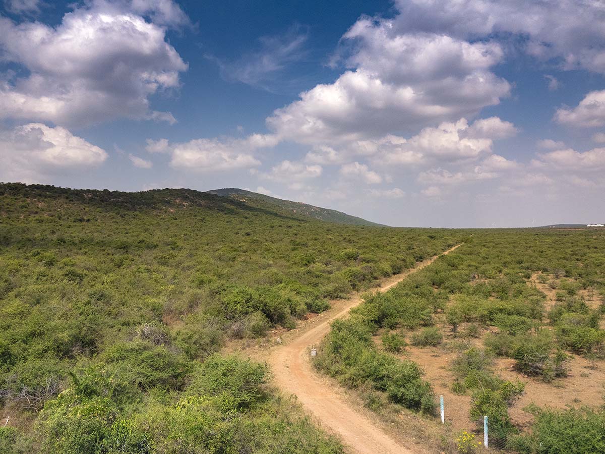 Vallanadu Blackbuck Sanctuary - Holiday Landmark