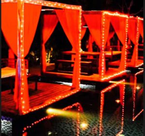 8 Best Pubs/Bars In North Goa For Wonderful Nightlife - Holiday Landmark