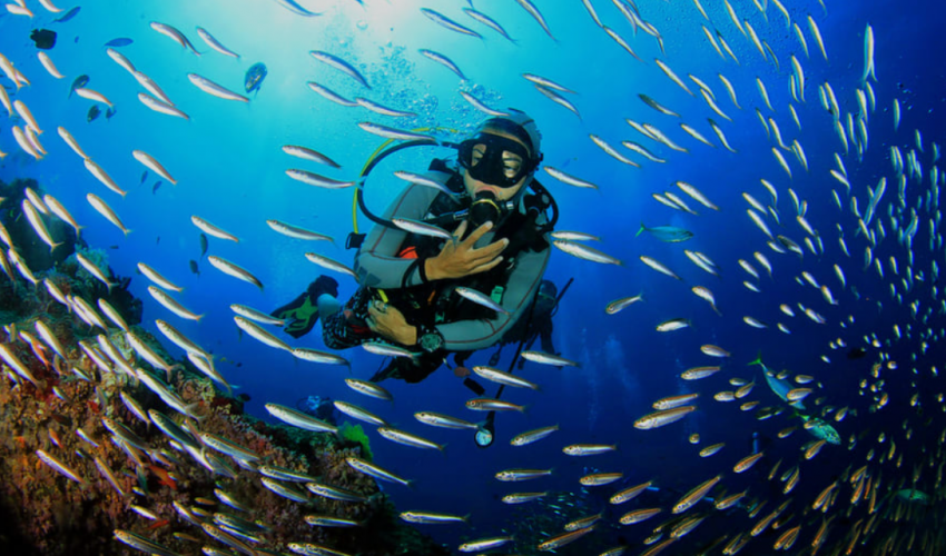 15 Things to do in North Goa during Day time – Holiday Landmark
