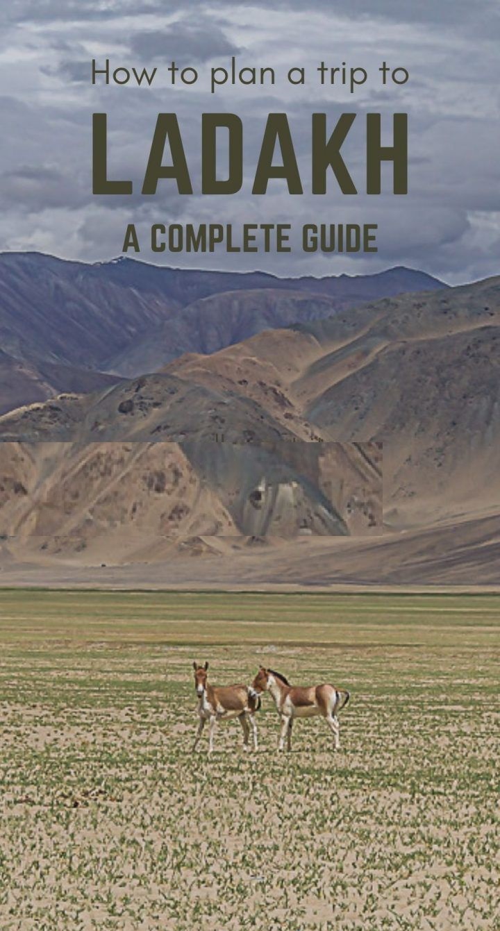 The Ultimate Tourist Guide to the Leh-Ladakh for Traveller - Holiday ...
