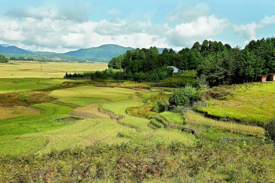 The Ultimate Travel Guide to Ziro, Arunachal Pradesh - Holiday Landmark