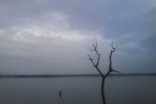 Walayar Dam in Palakkad, Kerala | Keralaorbit