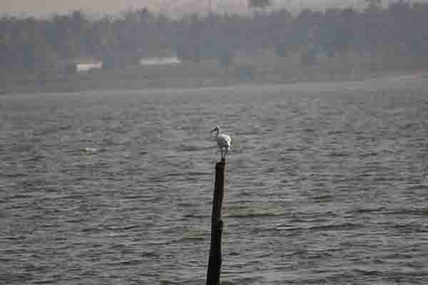 Walayar Dam in Palakkad, Kerala | Keralaorbit