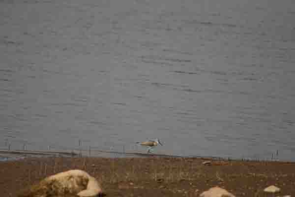 Walayar Dam in Palakkad, Kerala | Keralaorbit