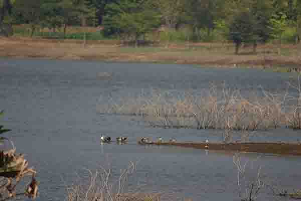 Walayar Dam in Palakkad, Kerala | Keralaorbit